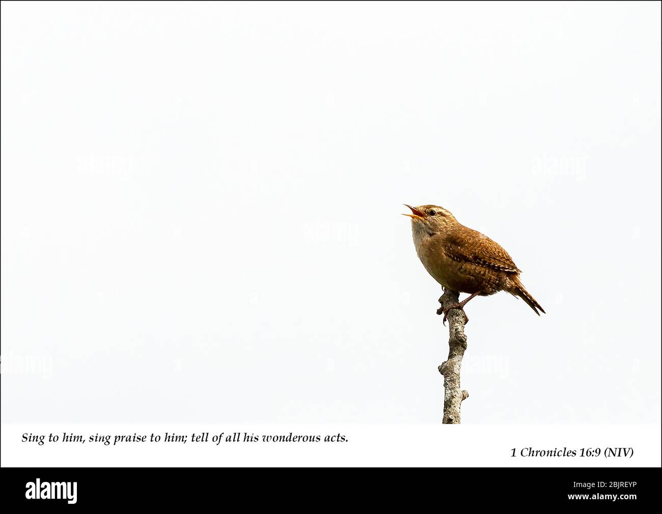 16 bible verse god jesus love salvation hi-res stock photography and ...