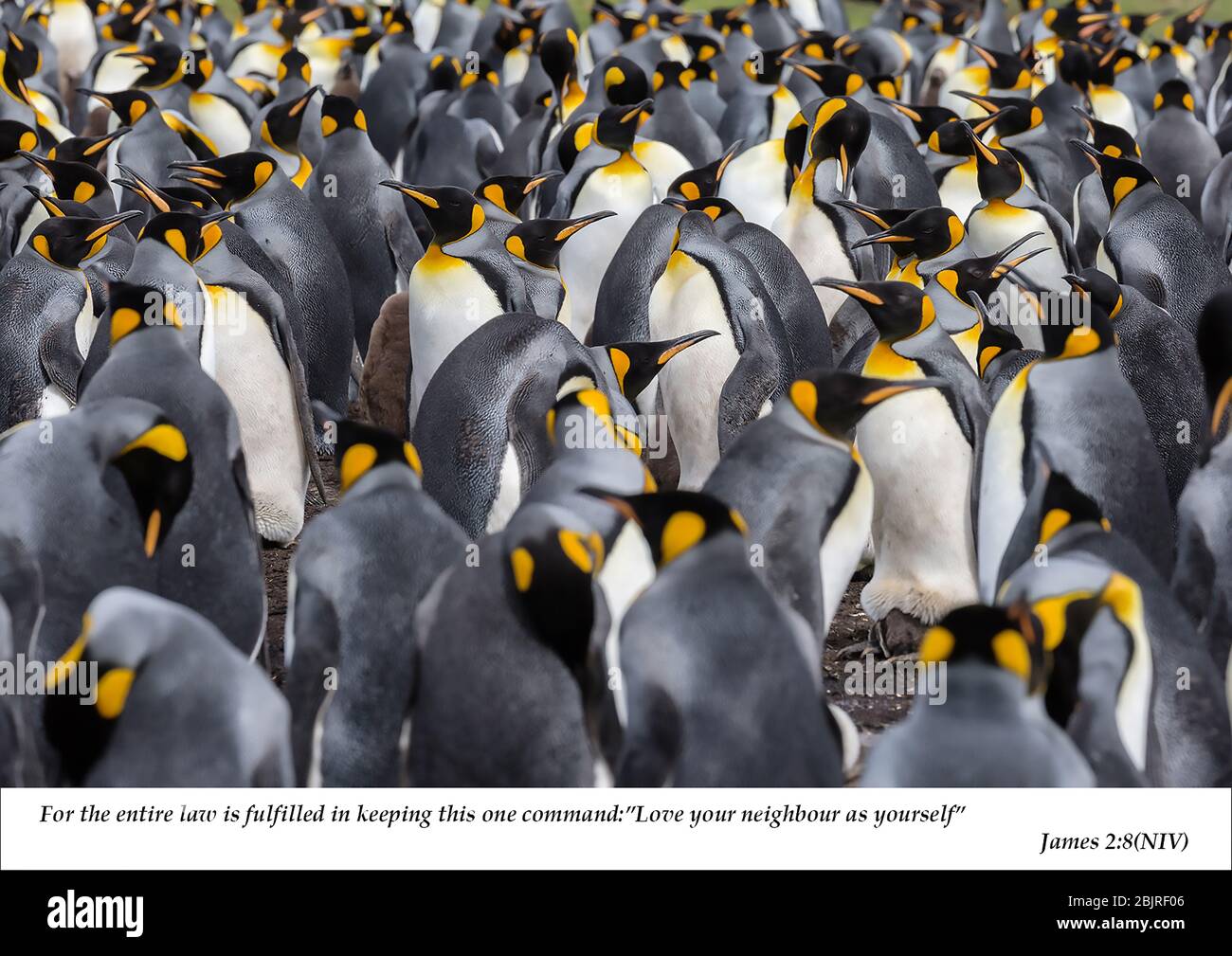 Good news of jesus christ hi-res stock photography and images - Alamy