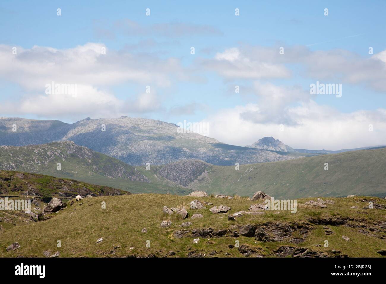 Llewelyn fawr hi-res stock photography and images - Alamy