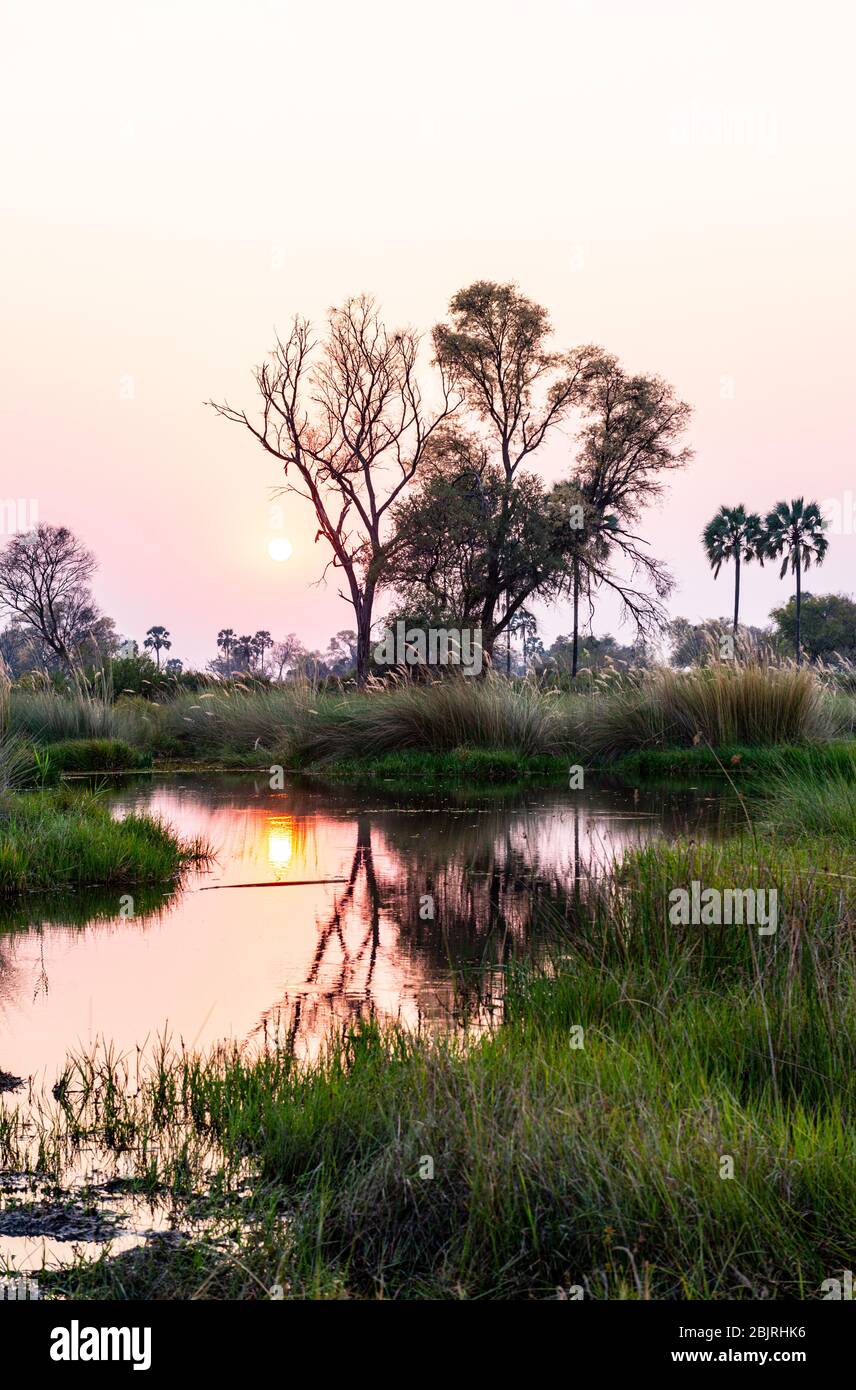 Makoro boats hi-res stock photography and images - Alamy