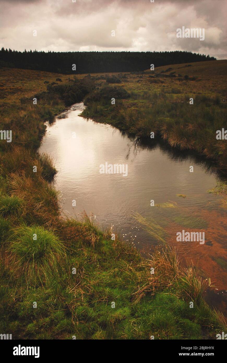 Small Stream on Dartmoor National Park, Devon, UK Stock Photo - Alamy