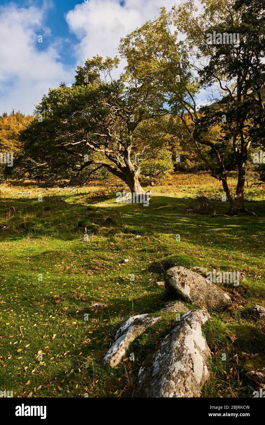 Rocks Glacial Valley Wales High Resolution Stock Photography and Images ...