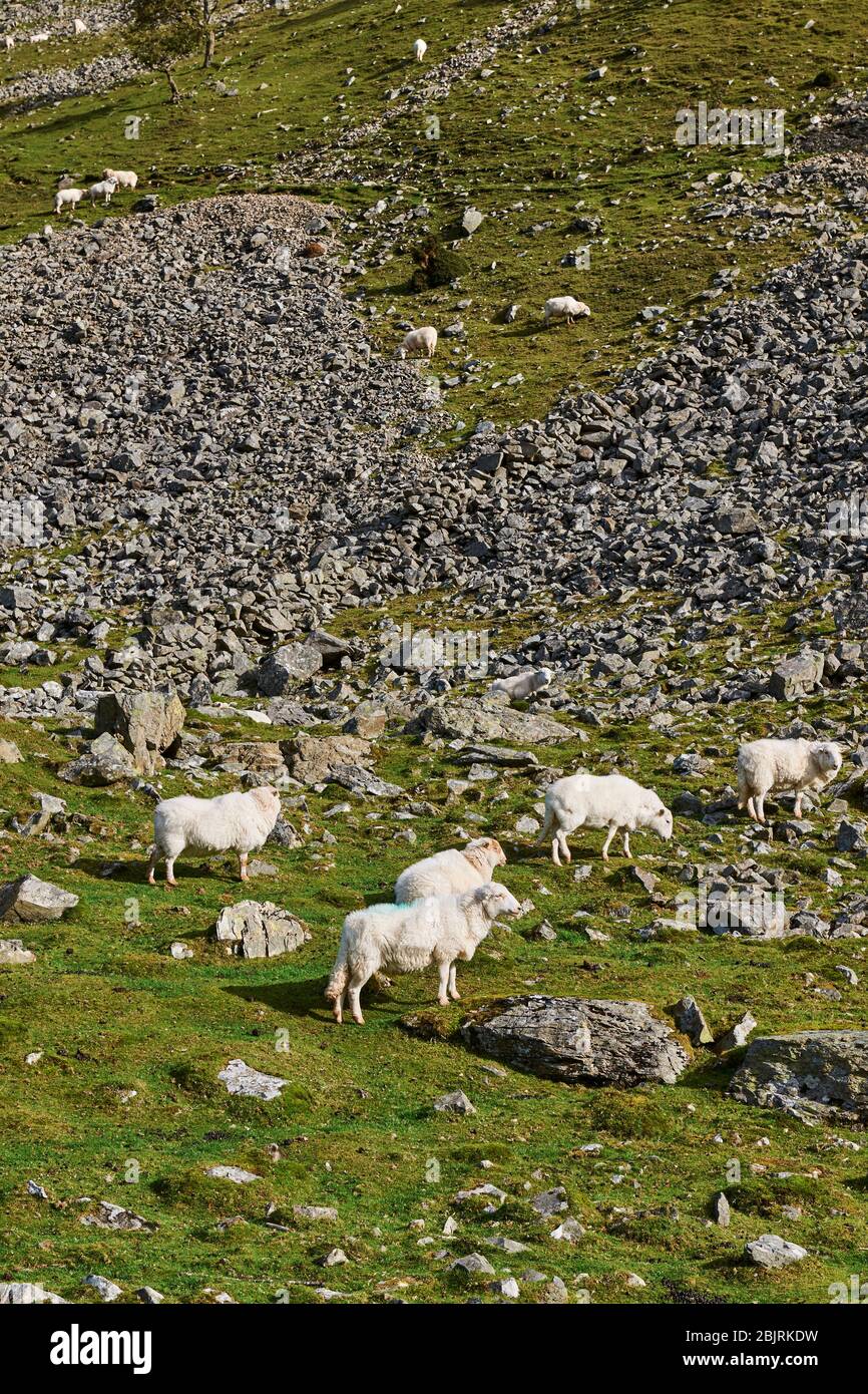 Steep sided slope hi-res stock photography and images - Alamy