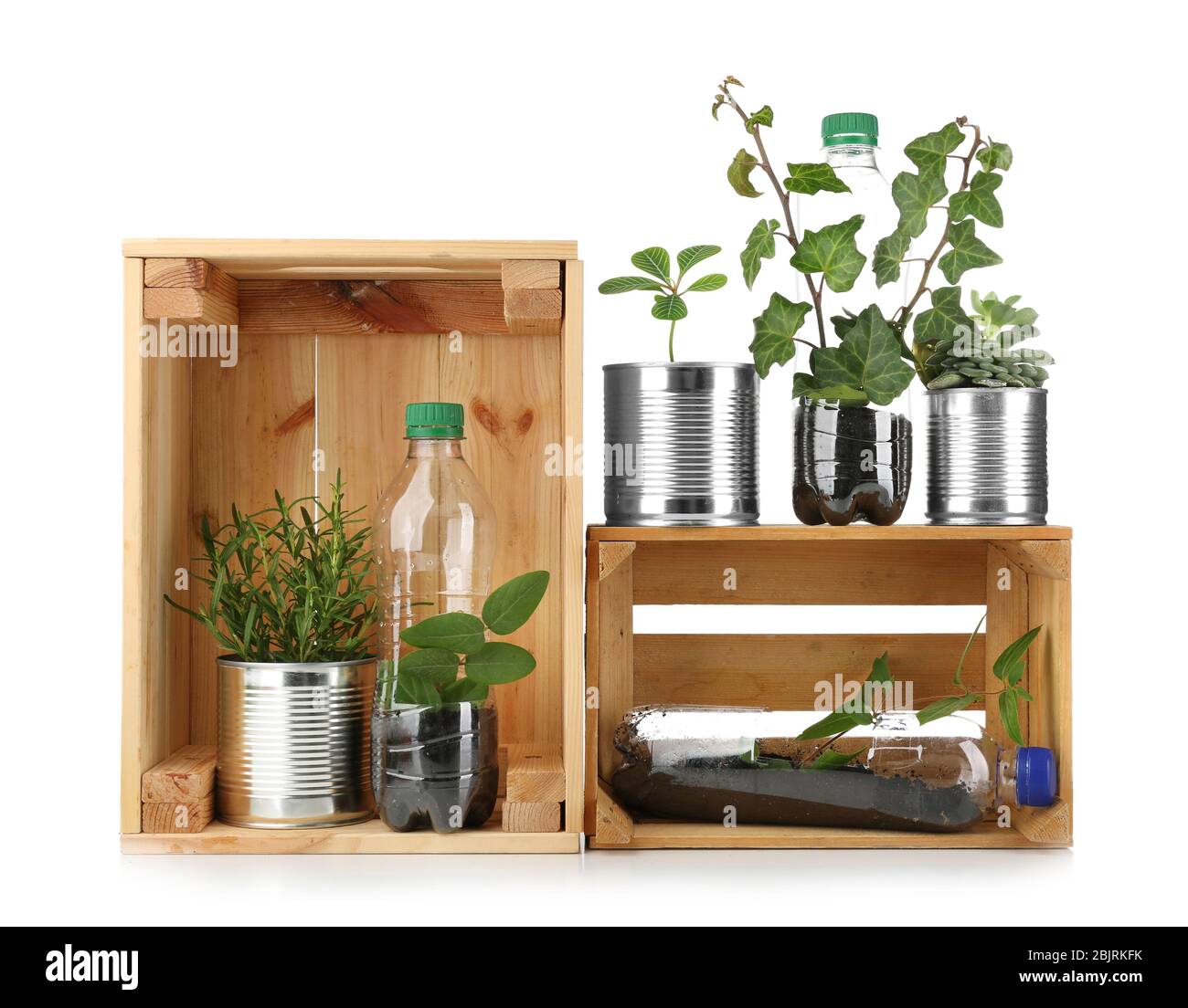 Composition with cans and bottles used as containers for growing plants ...
