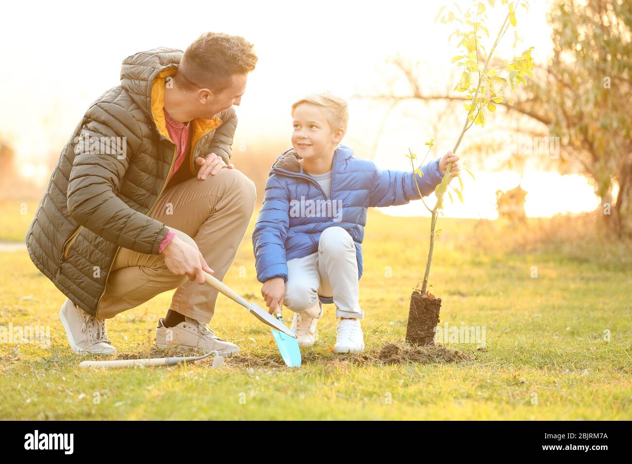 Father son planting tree hi-res stock photography and images - Alamy