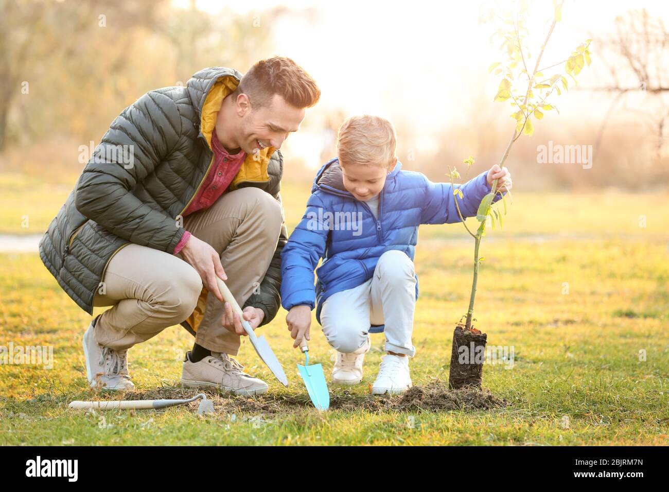 Father with little son planting tree outdoors Stock Photo - Alamy