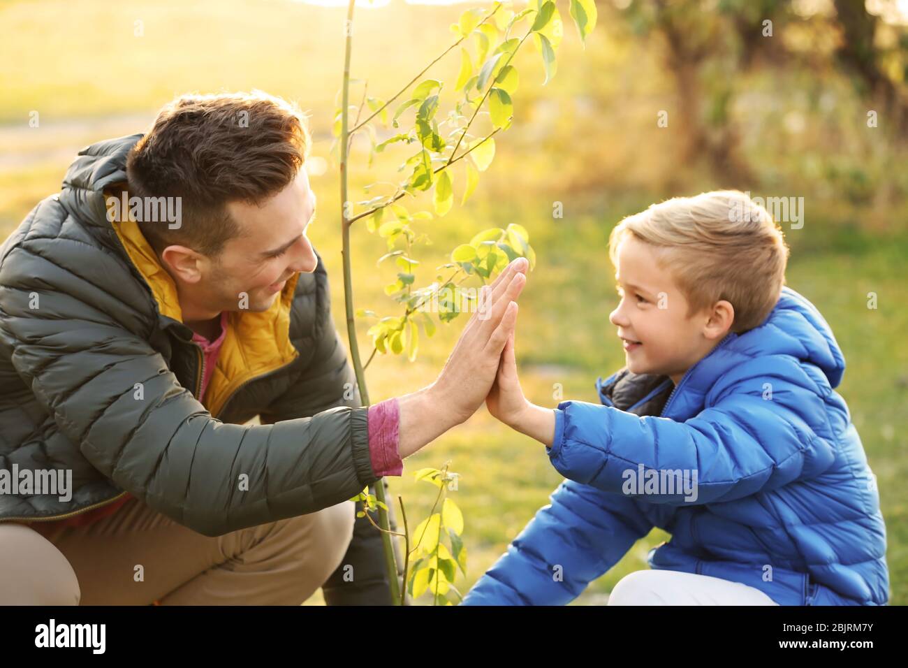 Father with little son planting tree outdoors Stock Photo - Alamy