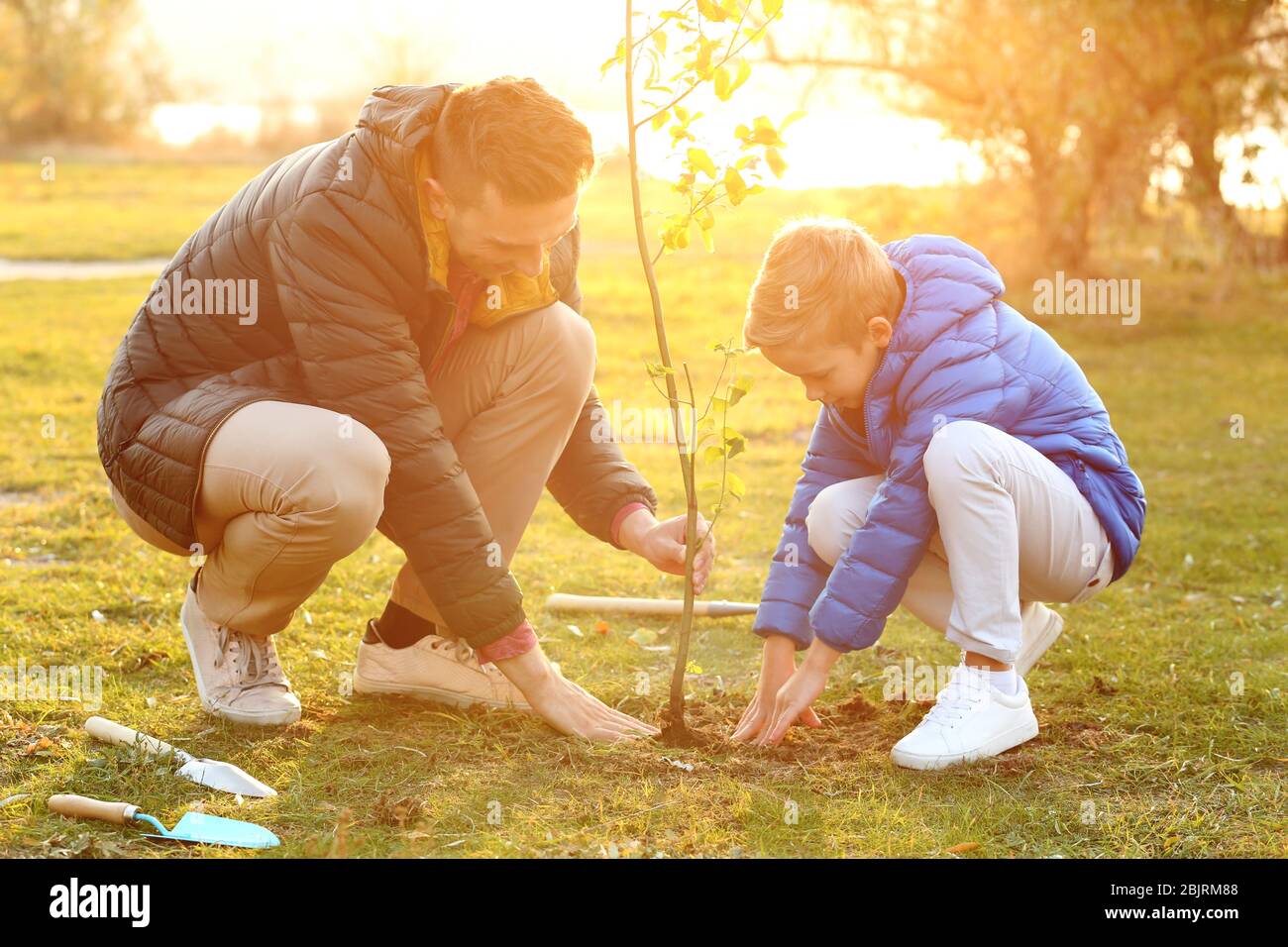 Father with little son planting tree outdoors Stock Photo - Alamy