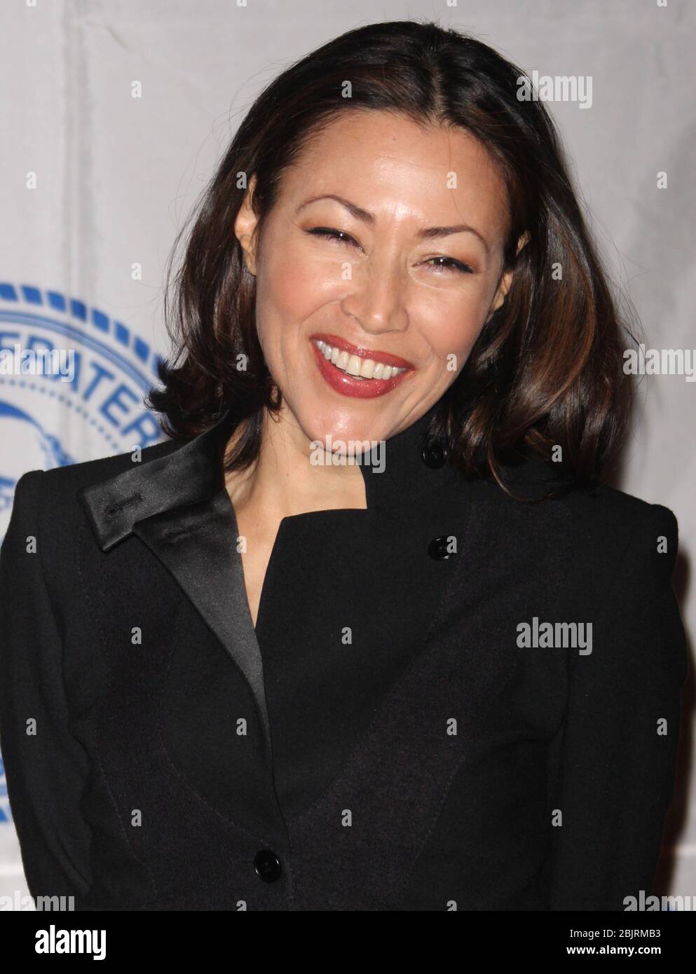 Anne Curry, 2008, Photo By John Barrett/PHOTOlink / MediaPunch Stock ...
