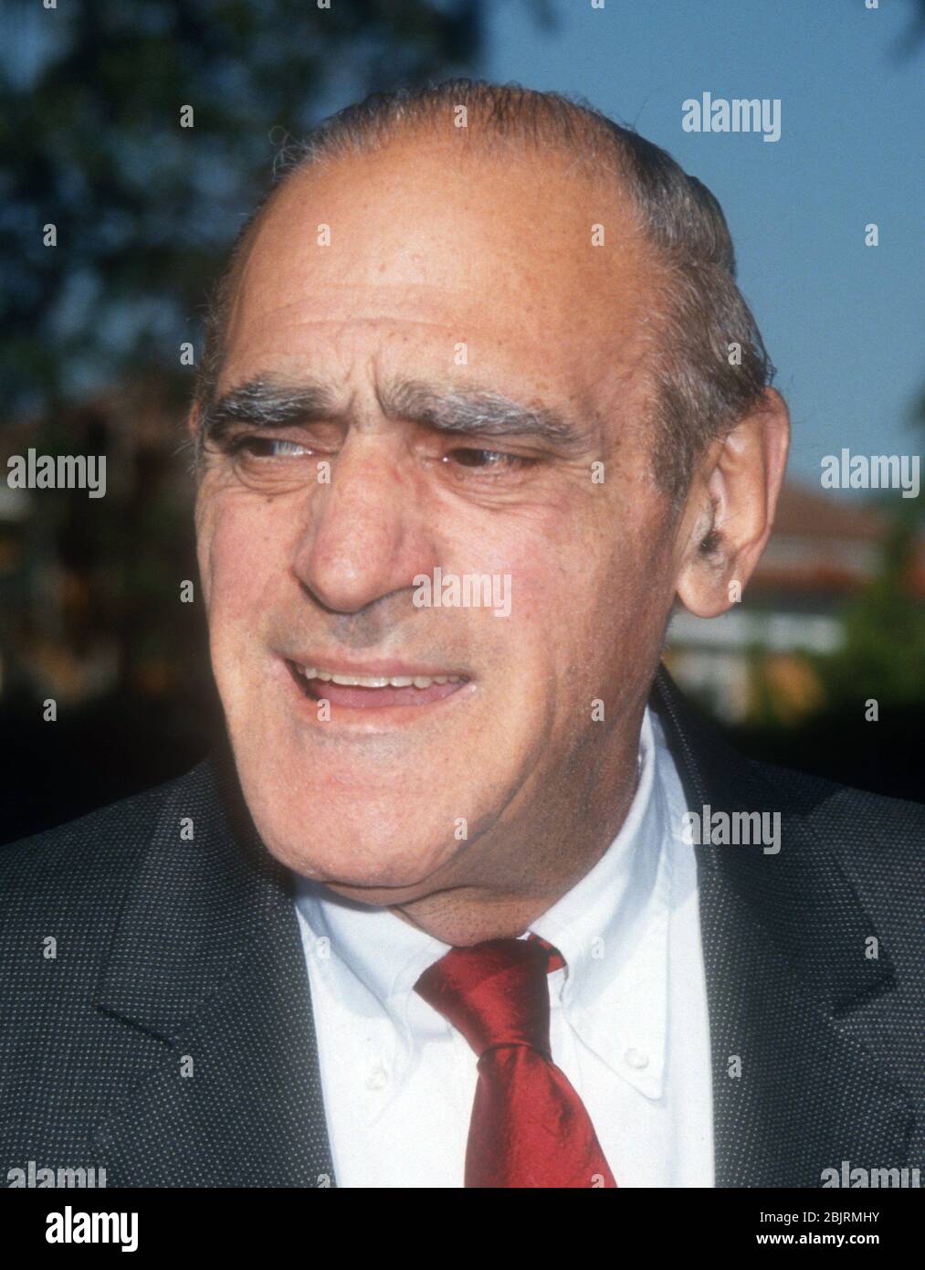 Abe Vigoda, 1992, Photo By Michael Ferguson/PHOTOlink /. MediaPunch ...
