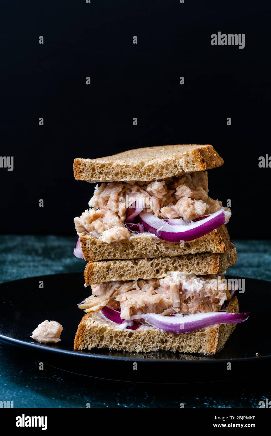 Tuna Fish Sandwich with Red Onions, Mayonnaise and Multigrain Light ...