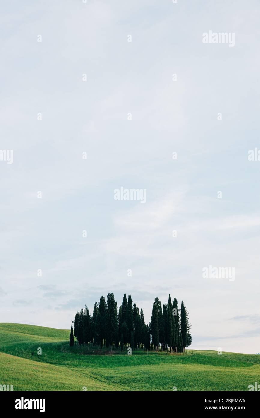 Cypresses hi-res stock photography and images - Alamy