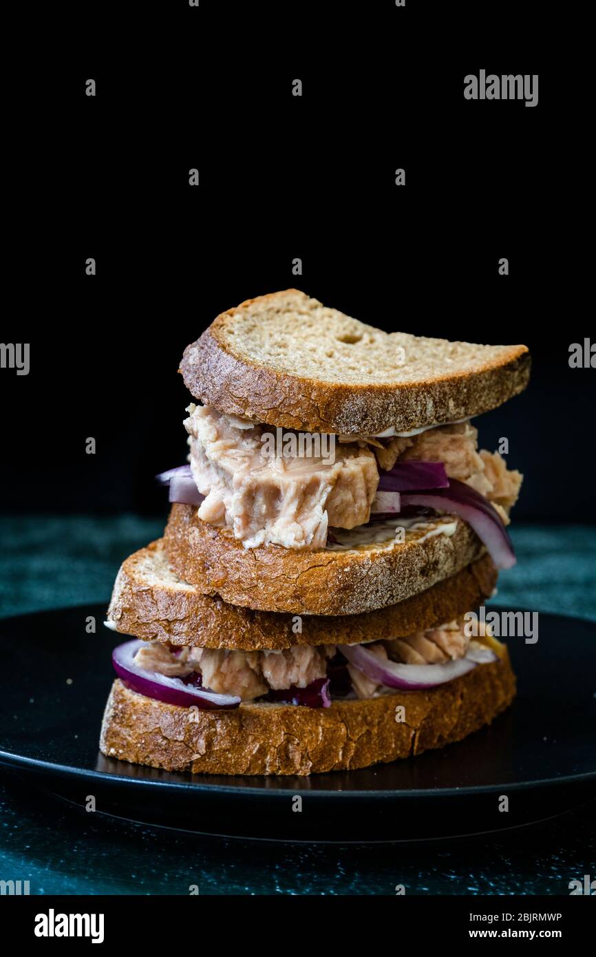 Tuna Fish Sandwich with Red Onions, Mayonnaise and Multigrain Light ...