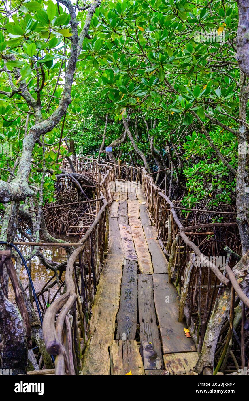 Maquinit Hot Spring at Busuanga island near Coron town, tropical ...