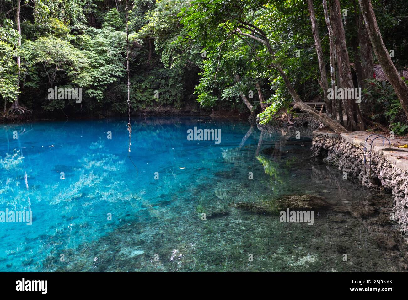 Island Lagoon Of A Rainforest