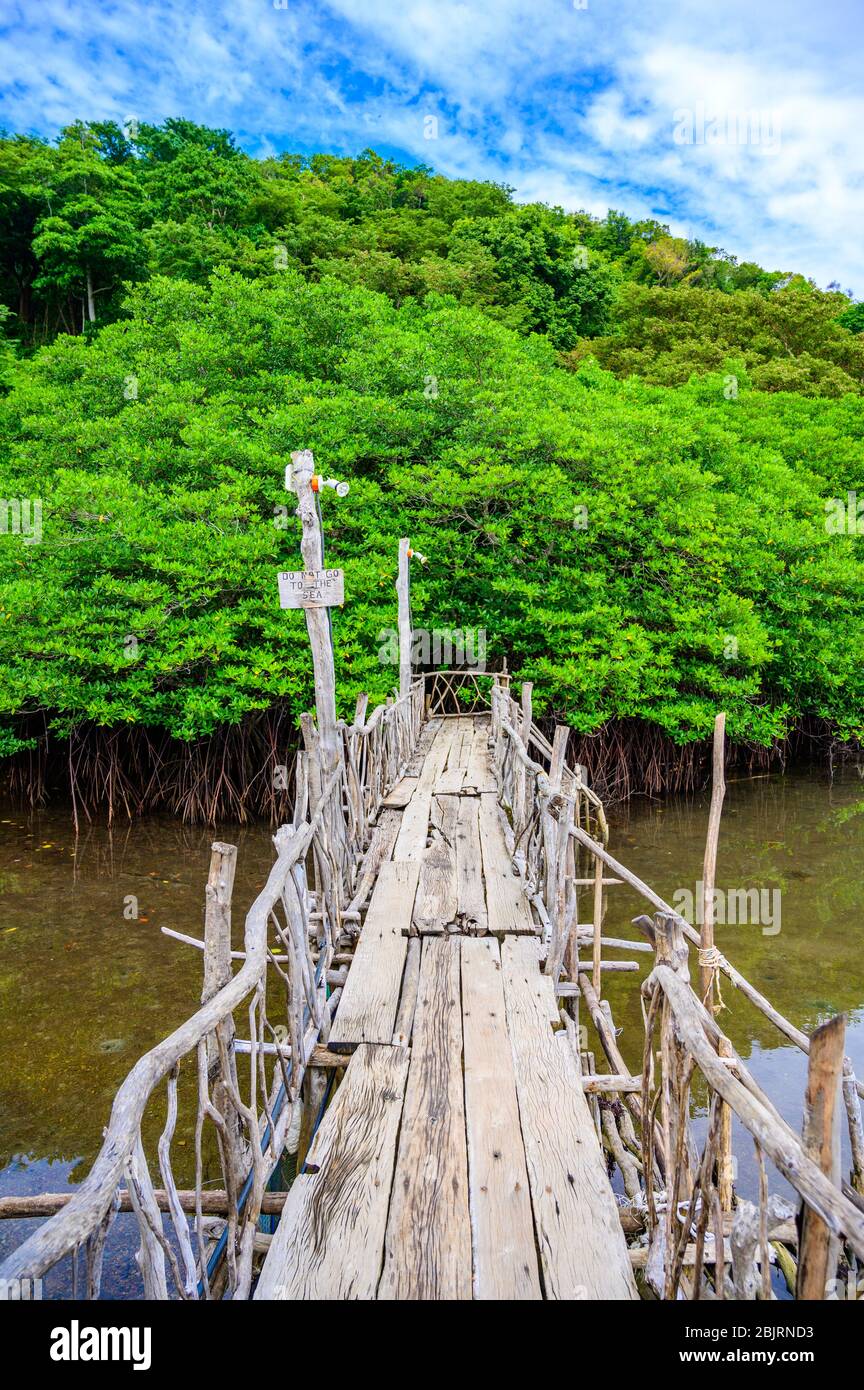 Maquinit Hot Spring at Busuanga island near Coron town, tropical ...