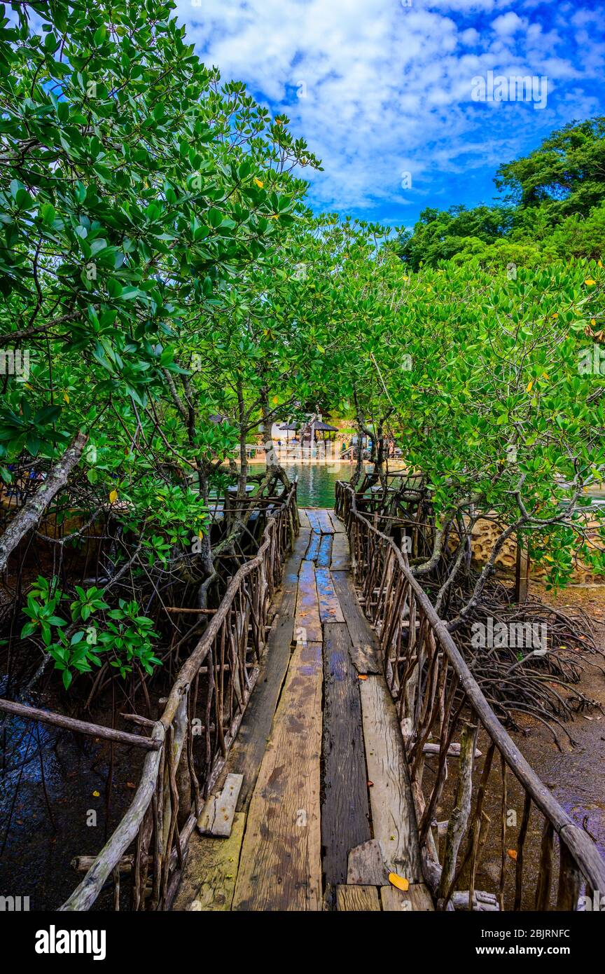 Philippines palawan mangroves hi-res stock photography and images - Alamy