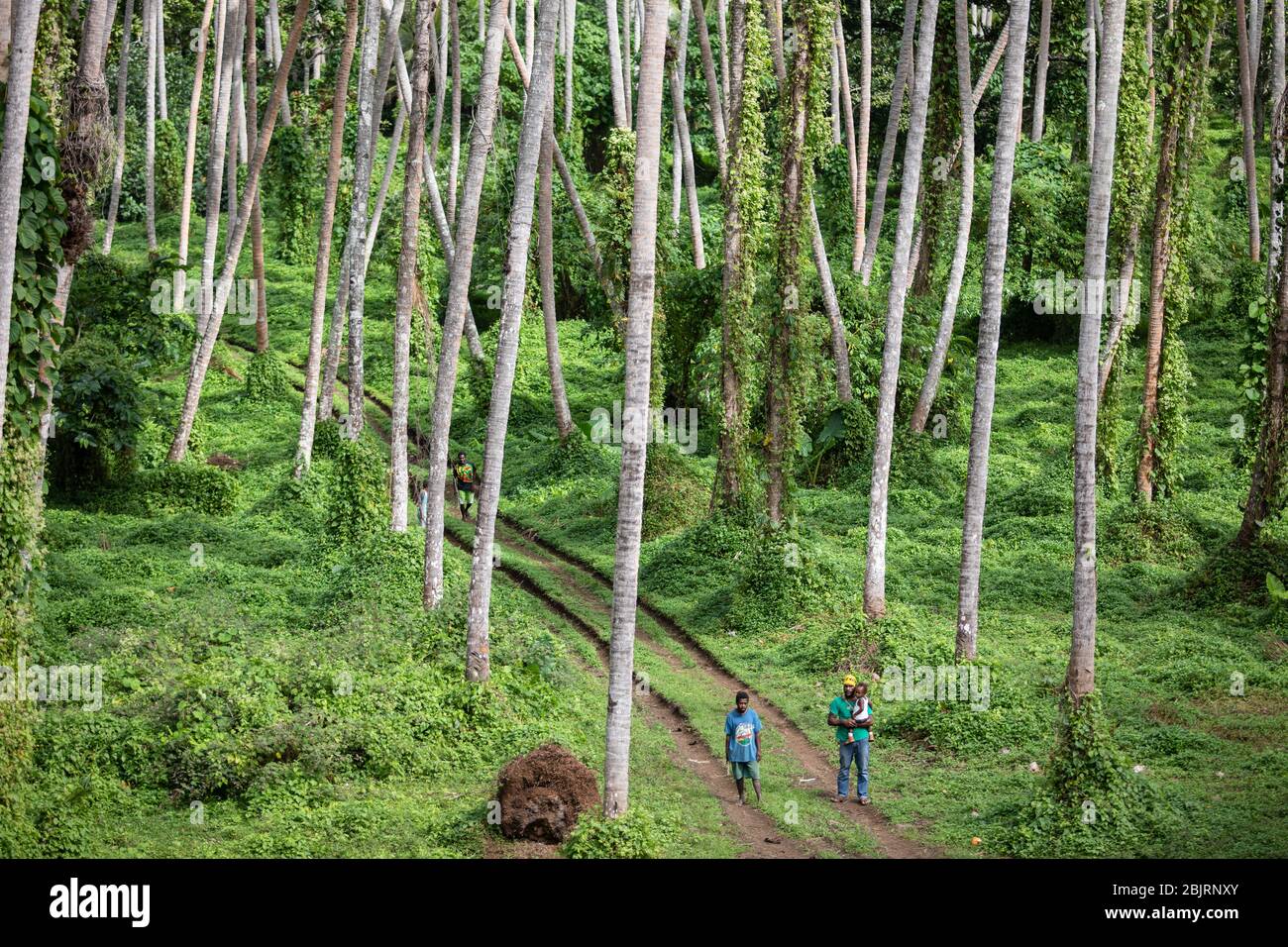 Vanuatu people hi-res stock photography and images - Alamy