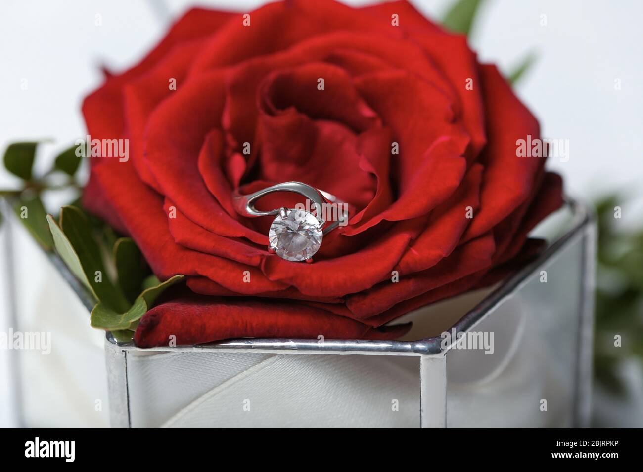 Glass box with red rose and beautiful engagement ring, closeup Stock ...