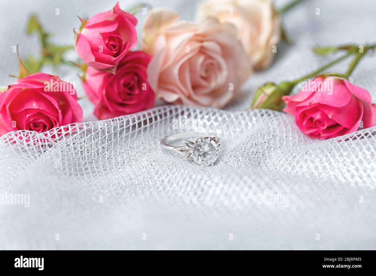 Ring netting hi-res stock photography and images - Alamy