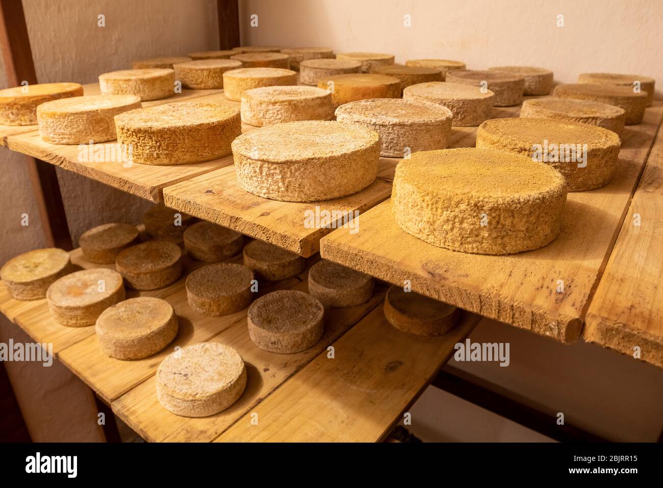 Artisanal cheese from Serra da Canastra made from milk from Caracu and ...