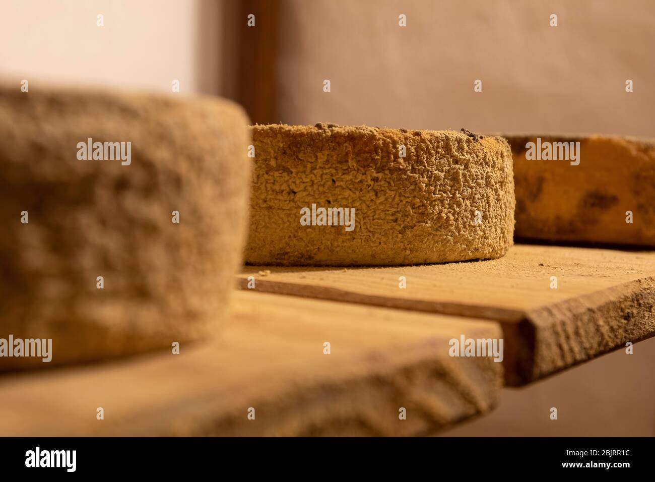 Artisanal cheese from Serra da Canastra made from milk from Caracu and ...