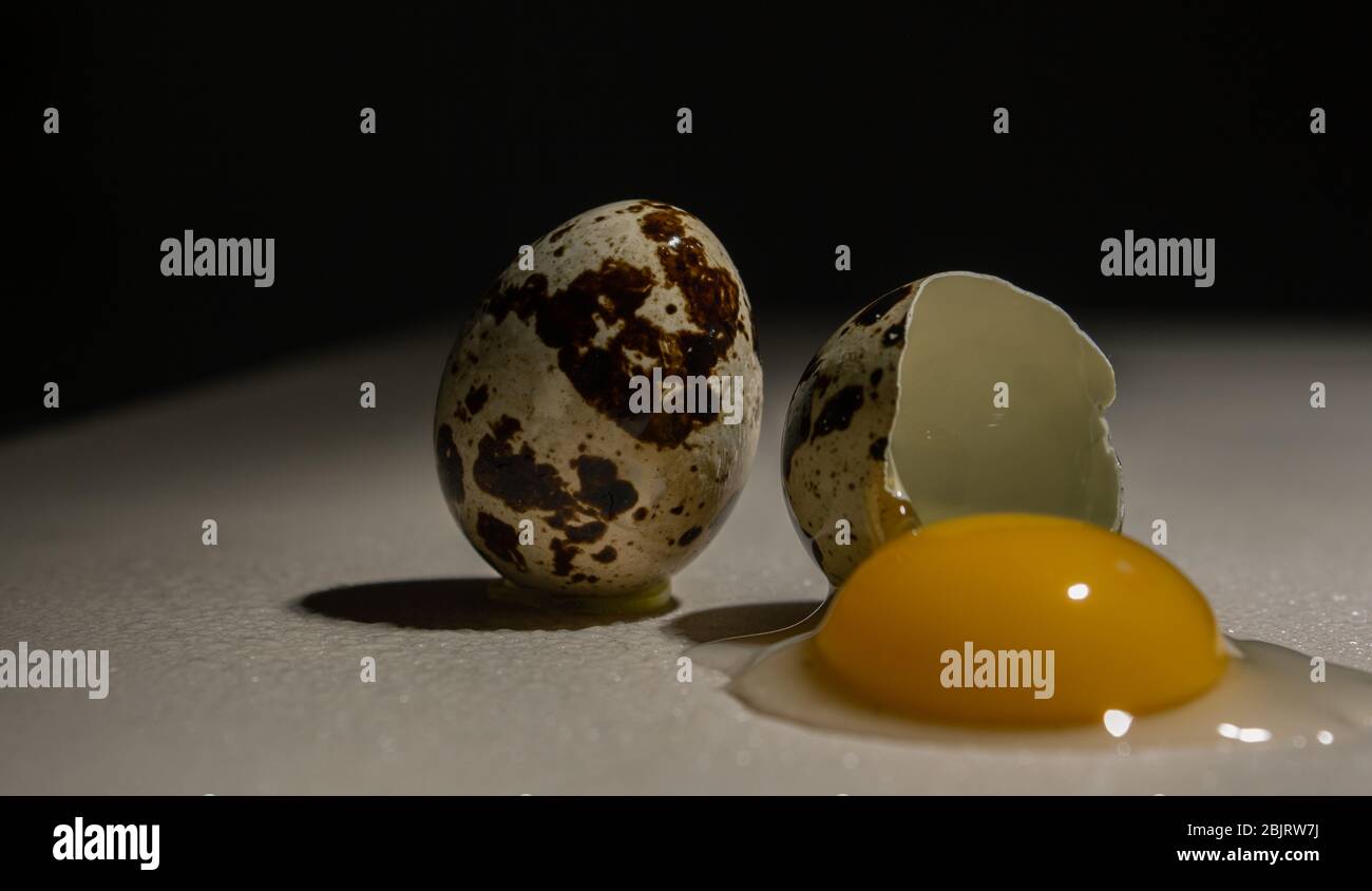 Quail egg broken one hi-res stock photography and images - Alamy
