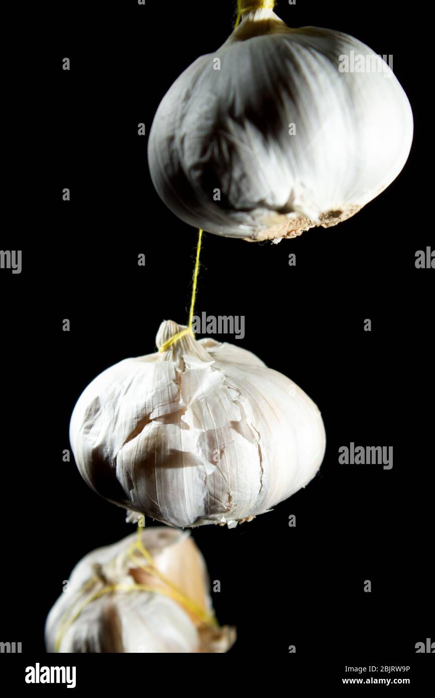 Three heads of garlic hang on a thread. copy space. on a black ...