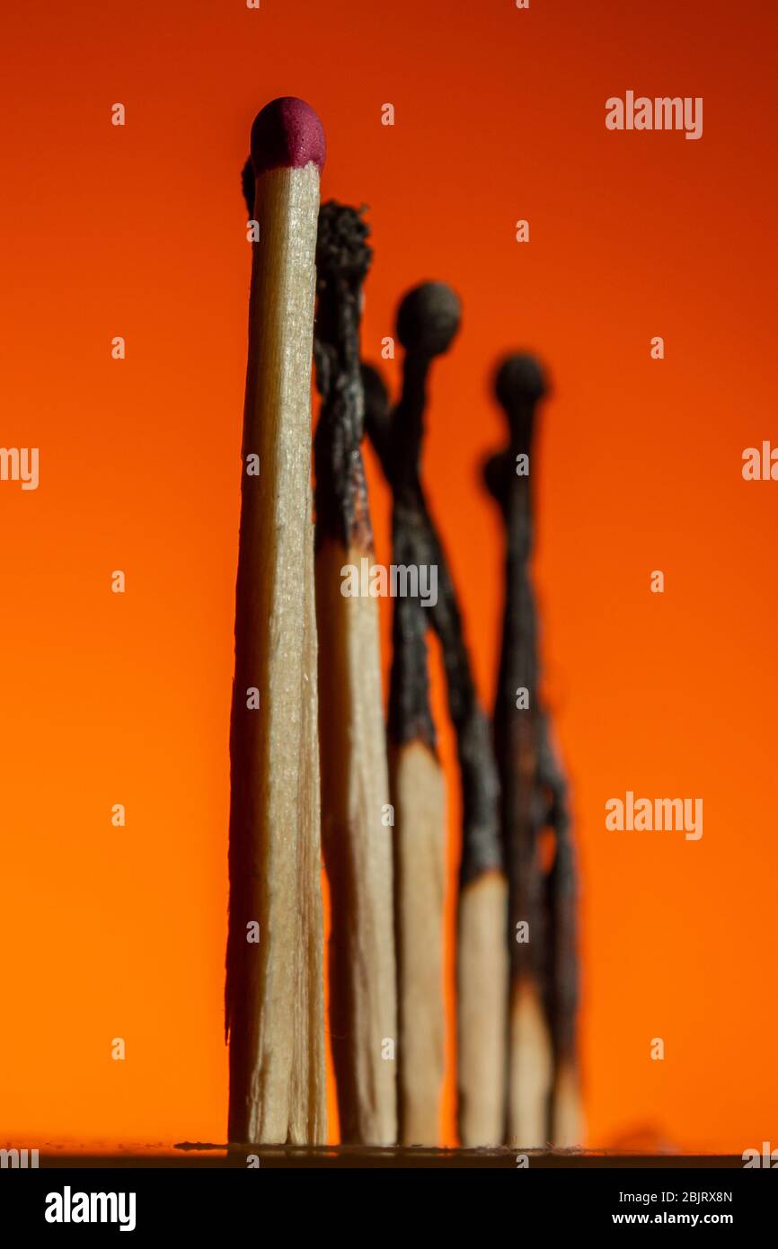 seven matches in a row in the corners of a leadership chart on a Lush ...