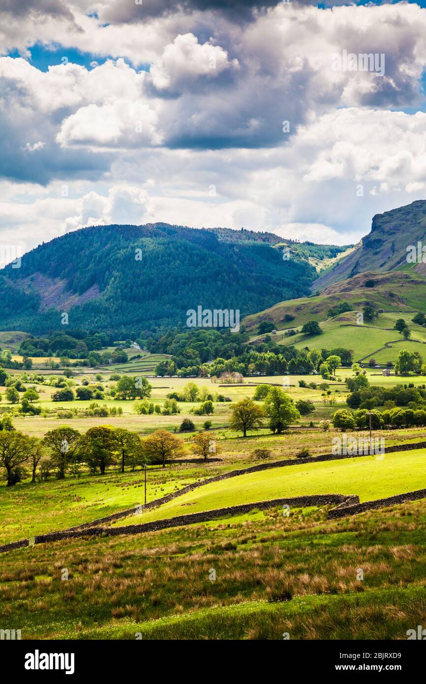 View to Castlerigg Fell and High Rigg in the Lake District National ...