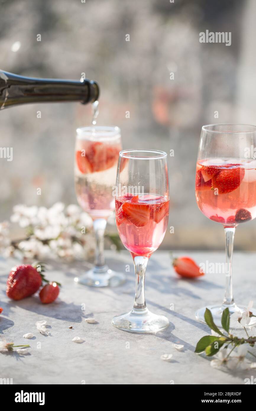 Pink cocktail with champagne or prosecco and fresh raspberries for St ...
