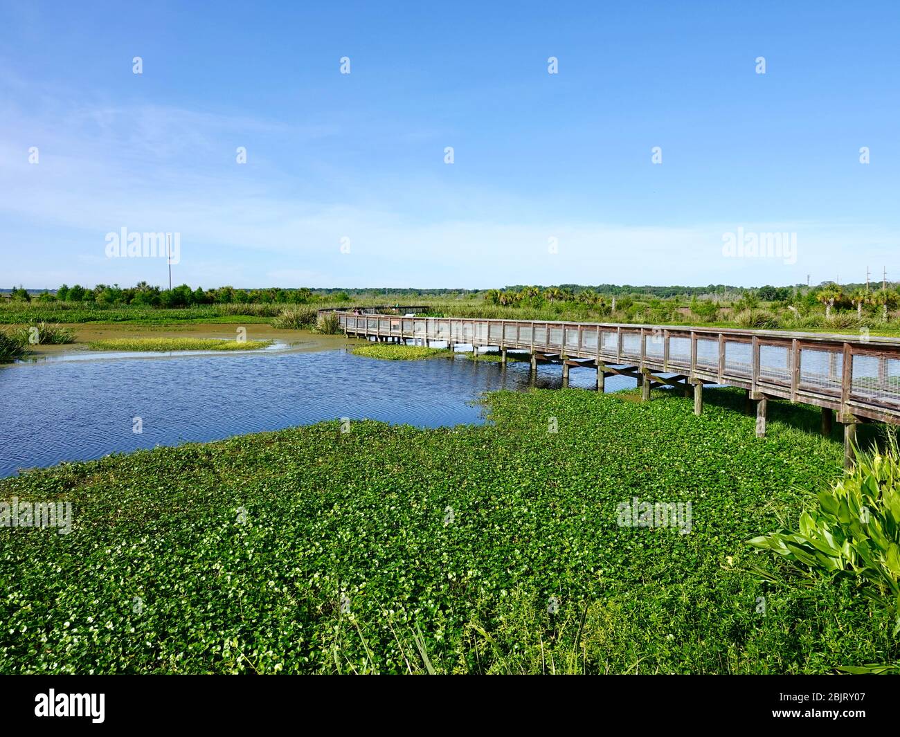 Boardwalk across freshwater lagoon at Sweetwater Wetlands Park ...