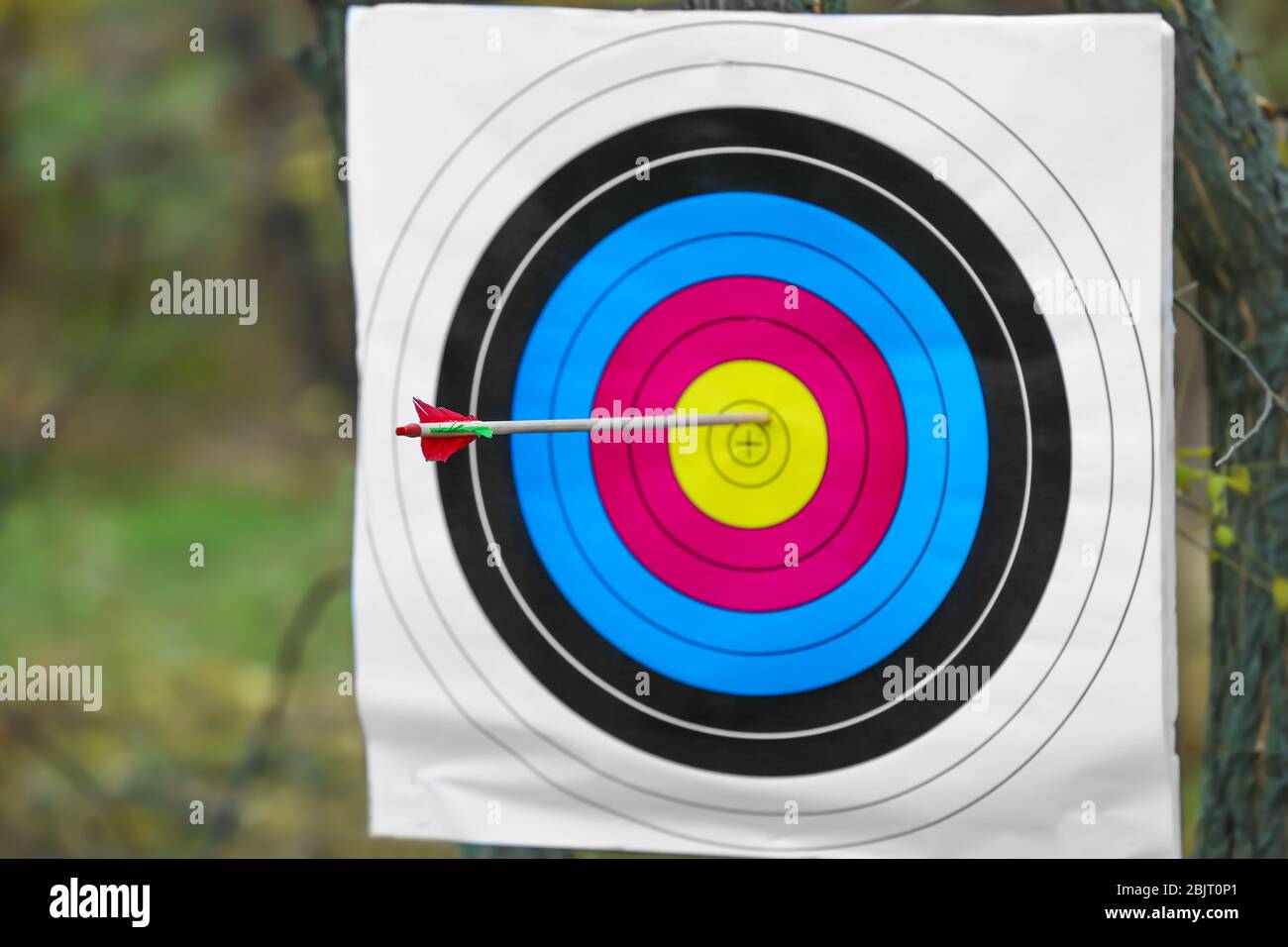 Arrow in the center of target for archery outdoors Stock Photo - Alamy