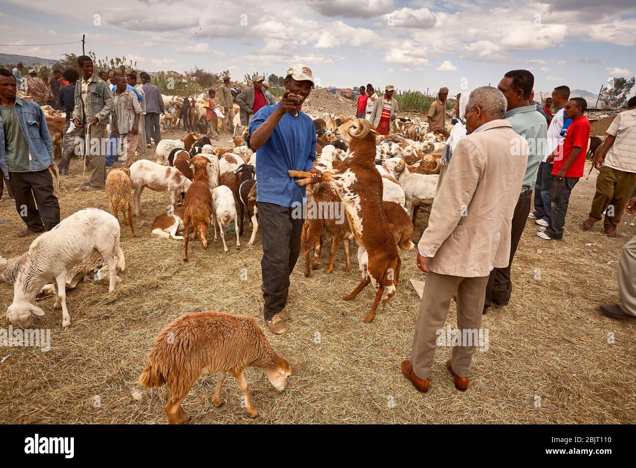 Ram meat hi-res stock photography and images - Alamy