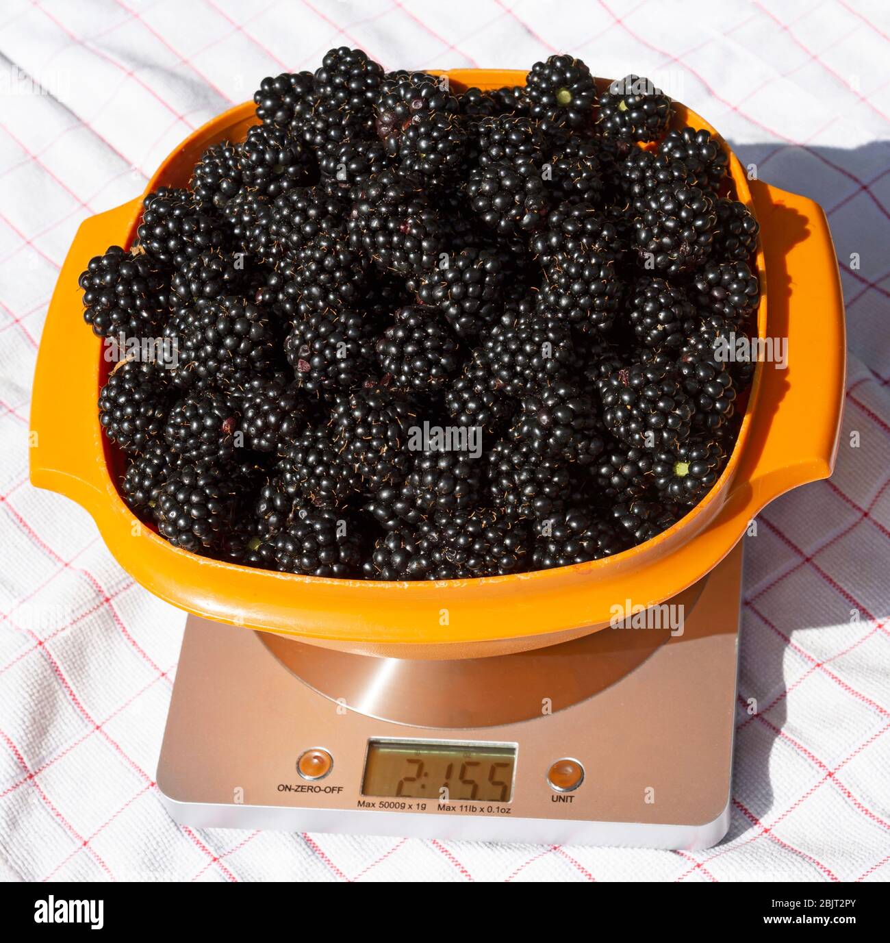 Food weighing scales hi-res stock photography and images - Alamy