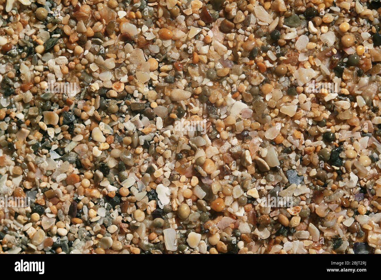 White crushed sea shells hi-res stock photography and images - Alamy
