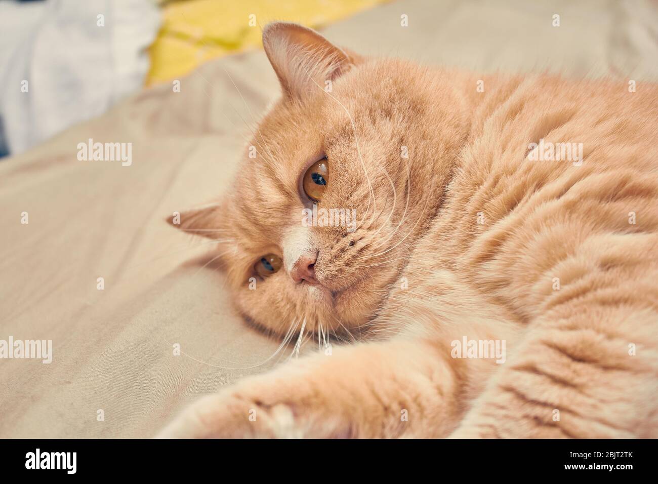 Sad face close up hi-res stock photography and images - Alamy