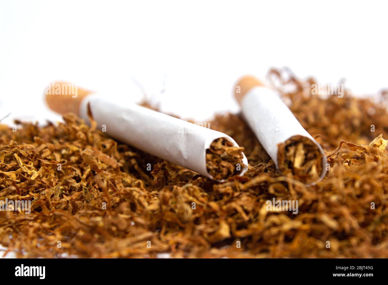 two cigarettes lie on tobacco tobacco on a white background. isolate ...