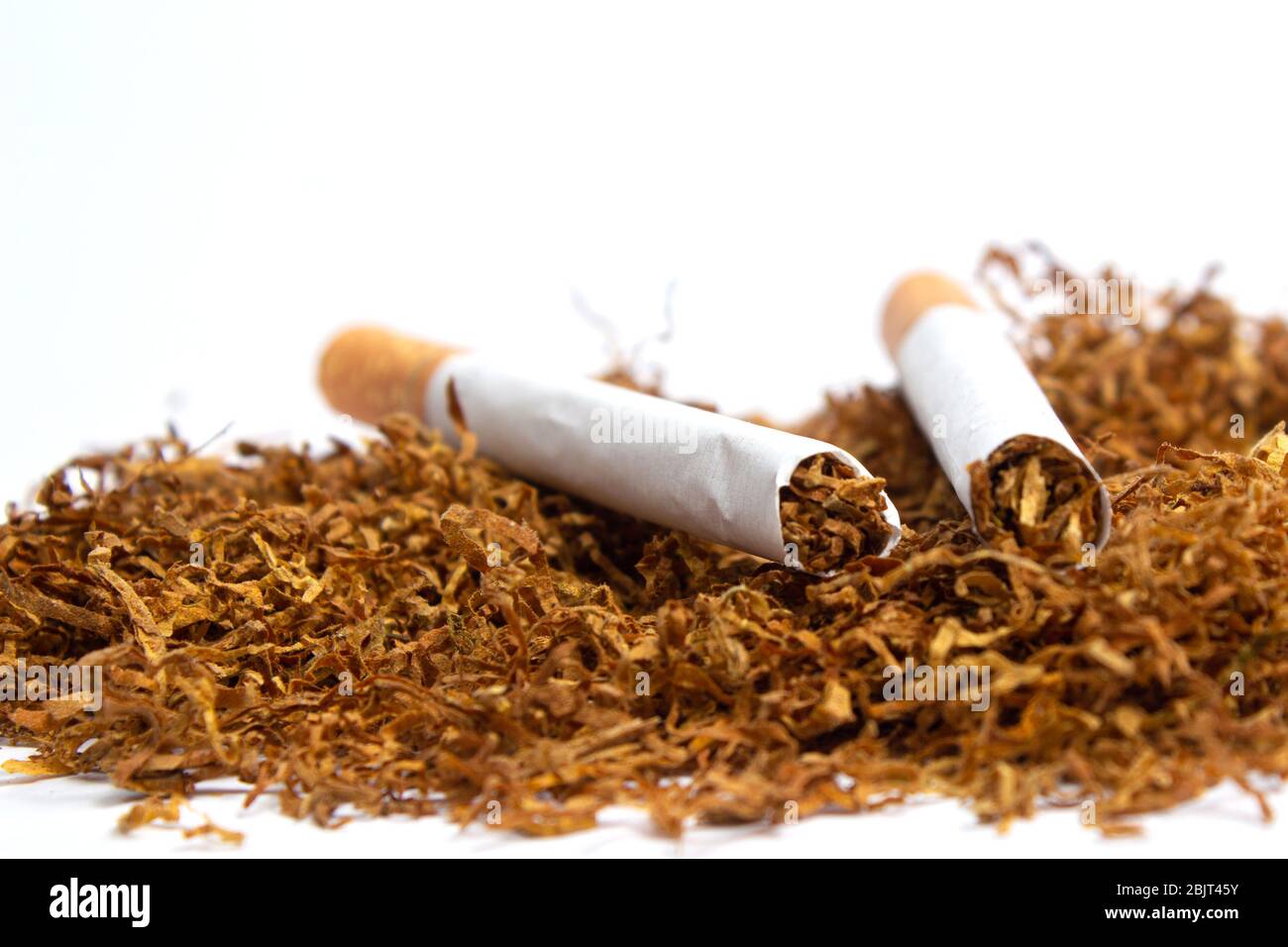two cigarettes lie on tobacco tobacco on a white background. isolate ...