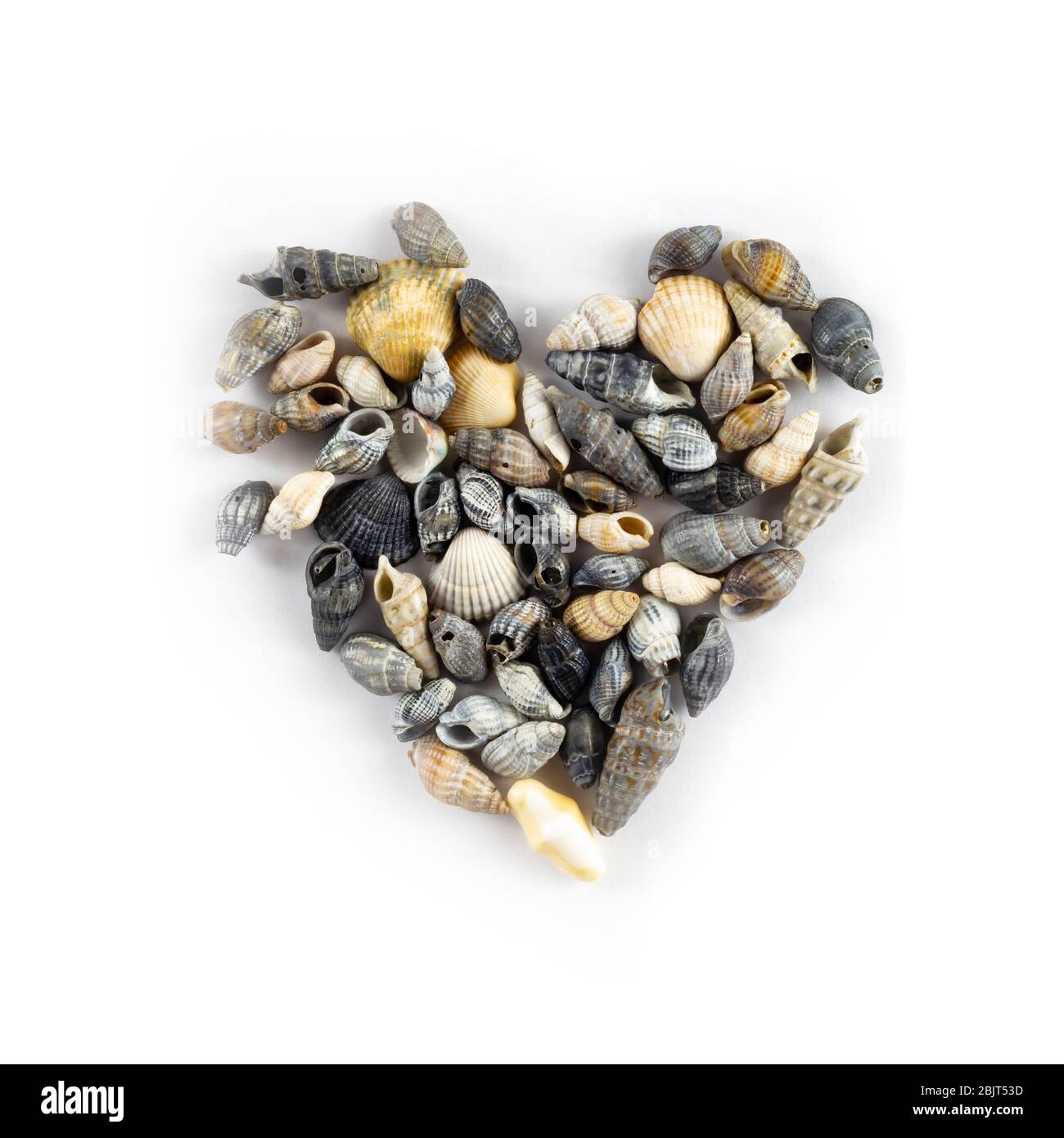 Heart made of shells on a white background Stock Photo - Alamy