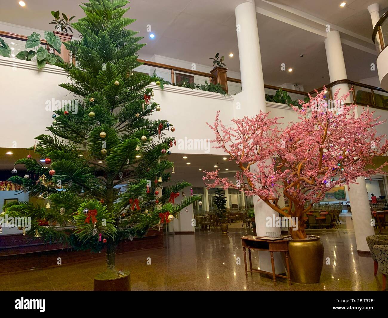 Living inside a tree hi-res stock photography and images - Alamy