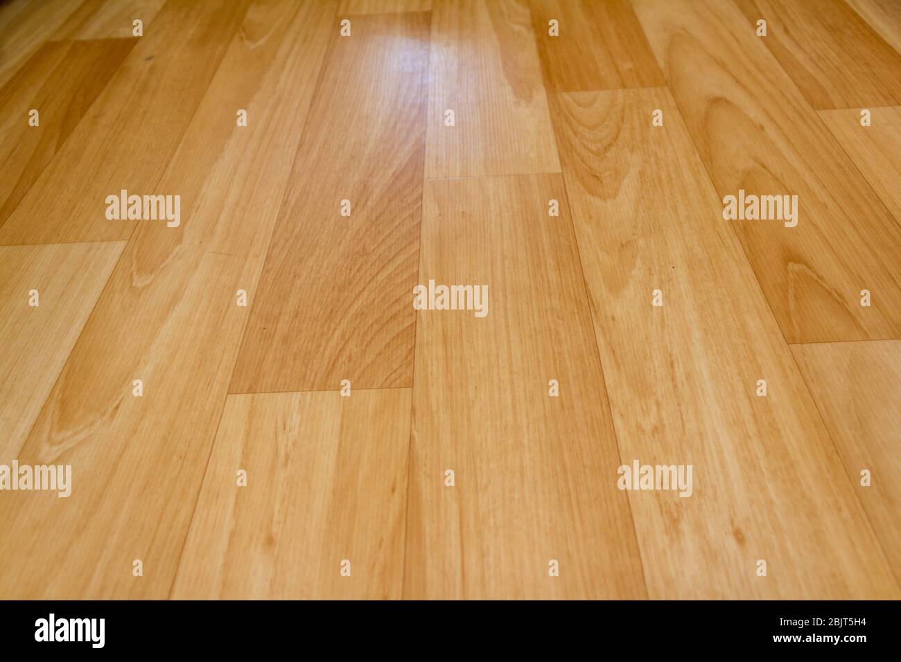 45 degree light wood flooring texture Stock Photo - Alamy