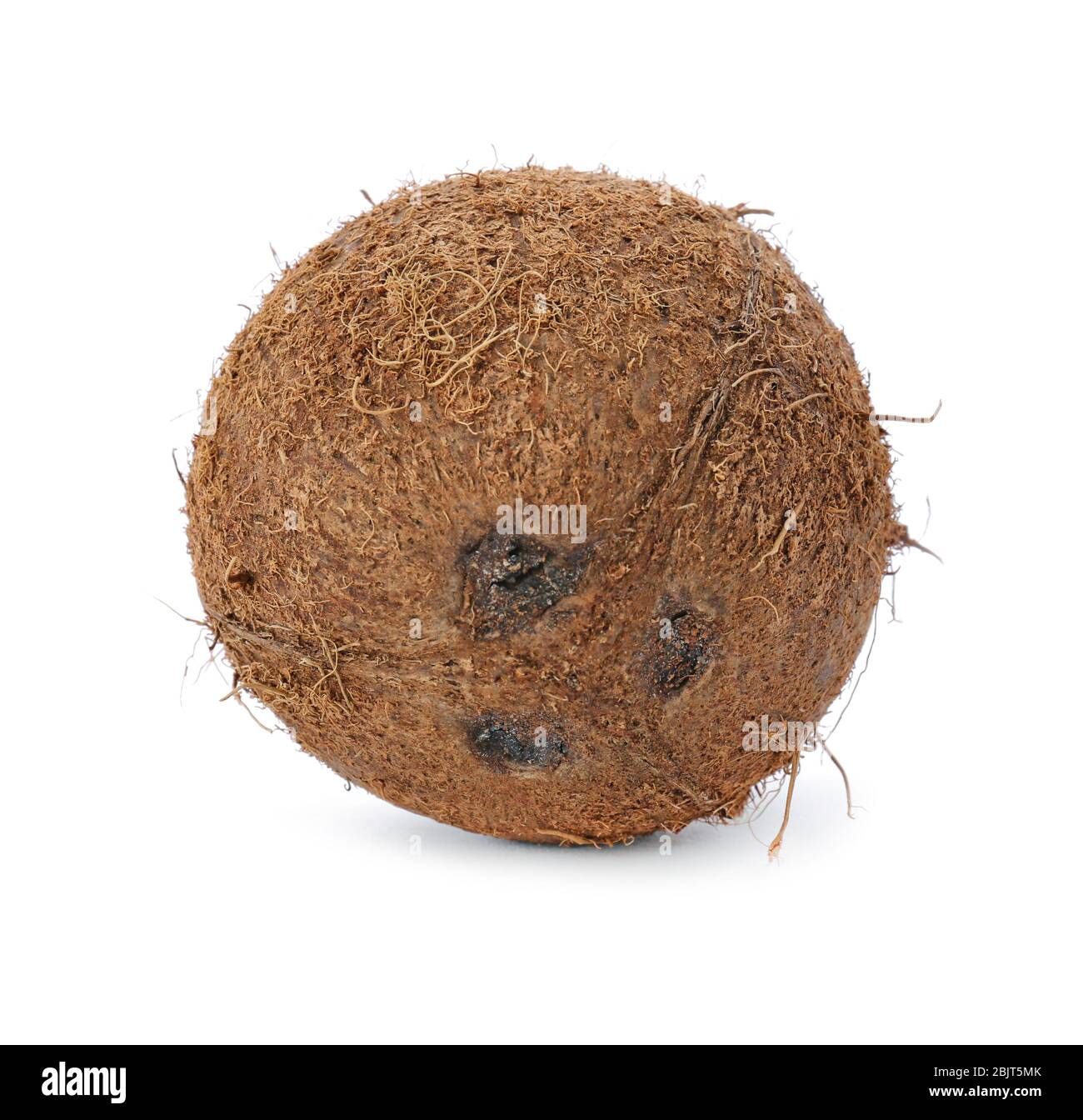 Ripe coconut on white background Stock Photo - Alamy