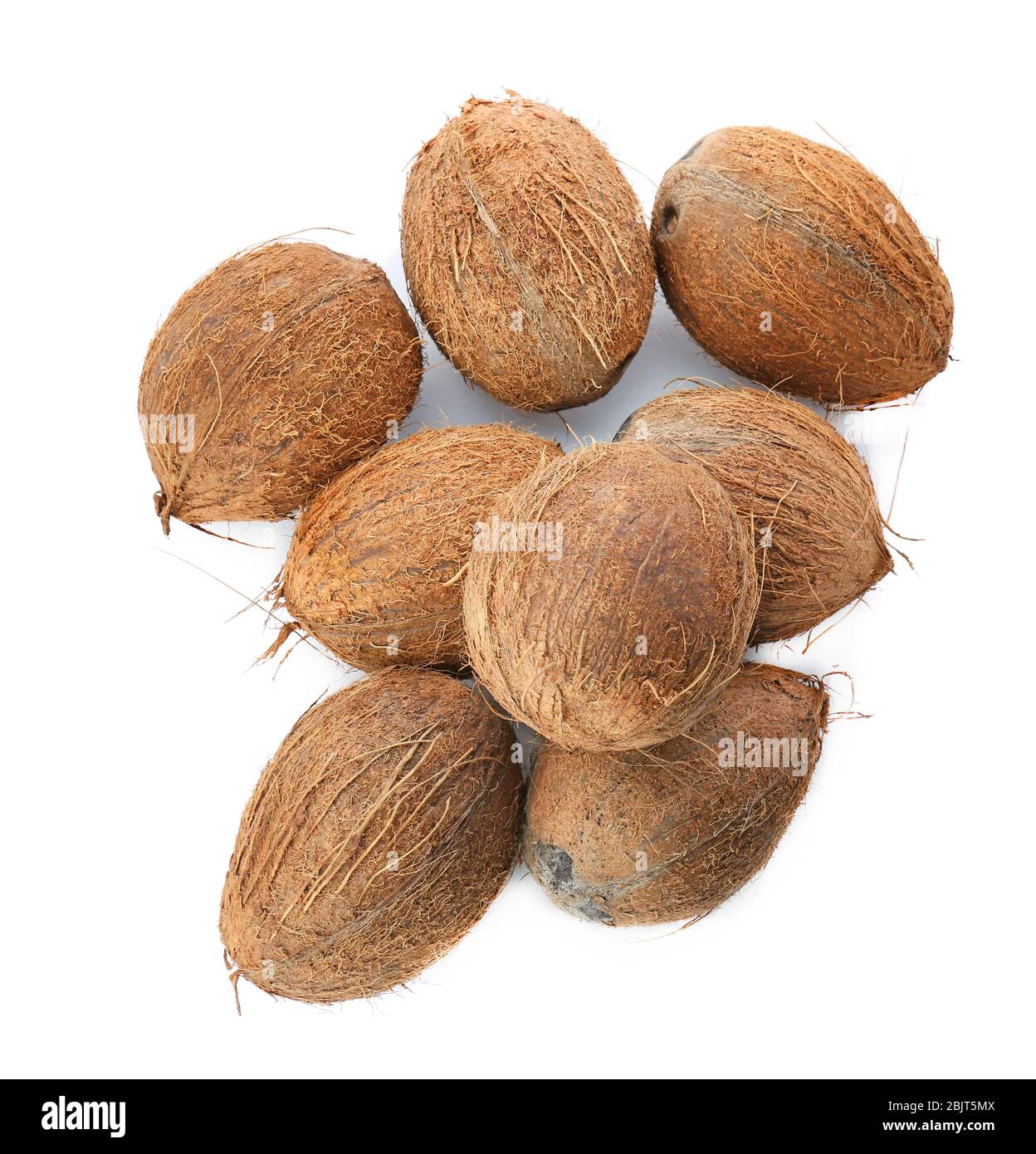 Many ripe coconuts on white background Stock Photo - Alamy