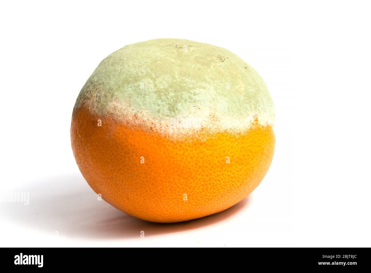 Spoiled half rotting orange on a white background Stock Photo - Alamy