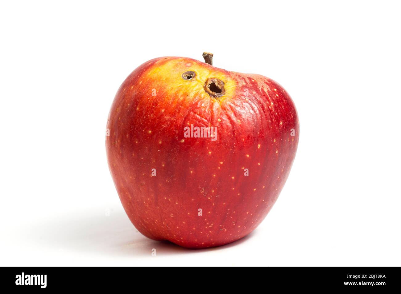 Red worm apple with two rot holes on a white background Stock Photo - Alamy