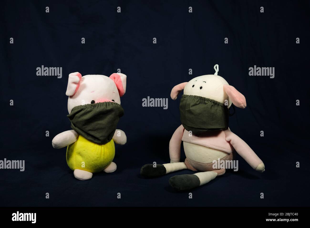 Pigs puppets with a protection mask on the mouth. Coronavirus style ...
