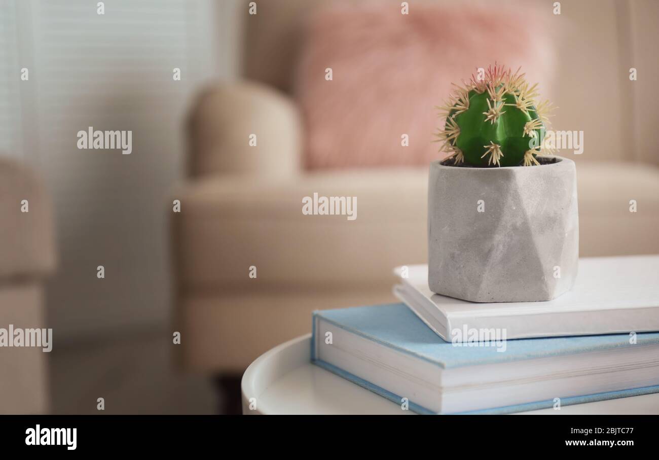 Houseplant on stack of books in living room Stock Photo - Alamy