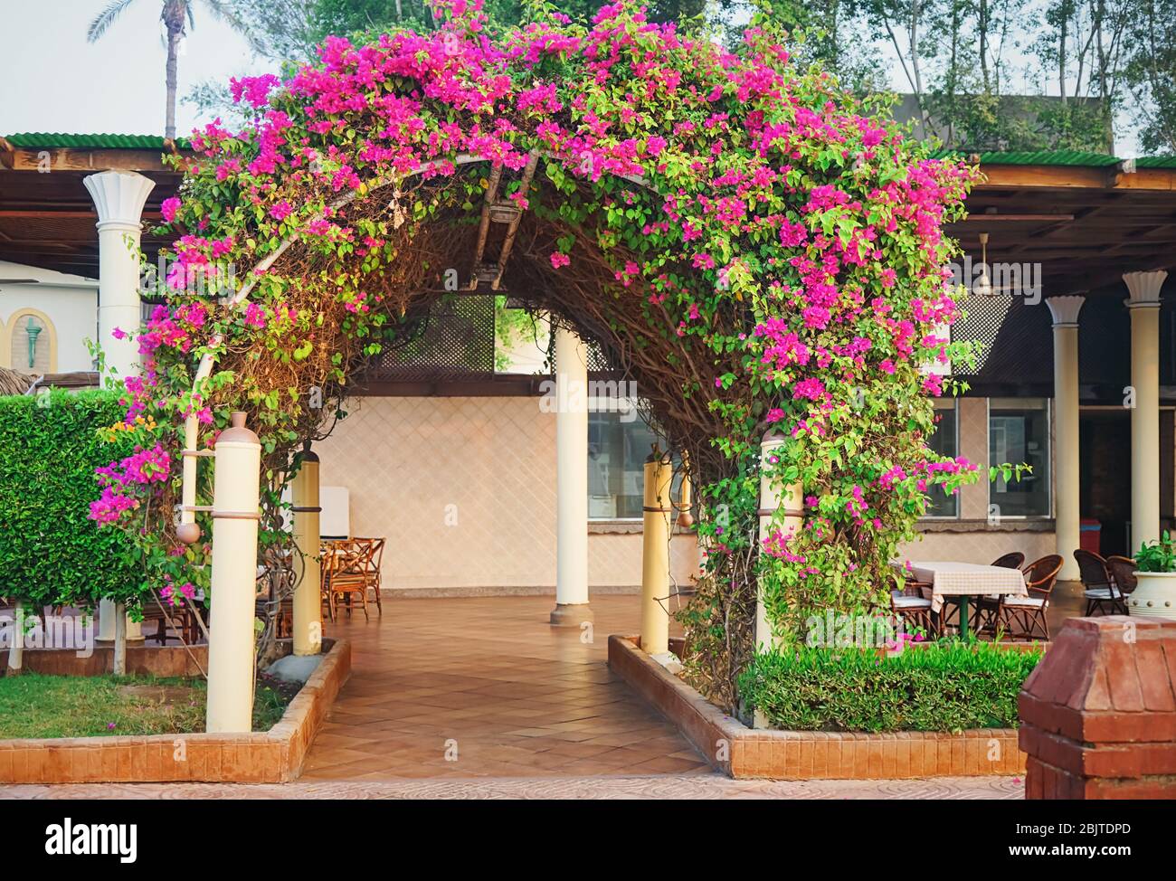 Bougainvillea arch hi-res stock photography and images - Alamy