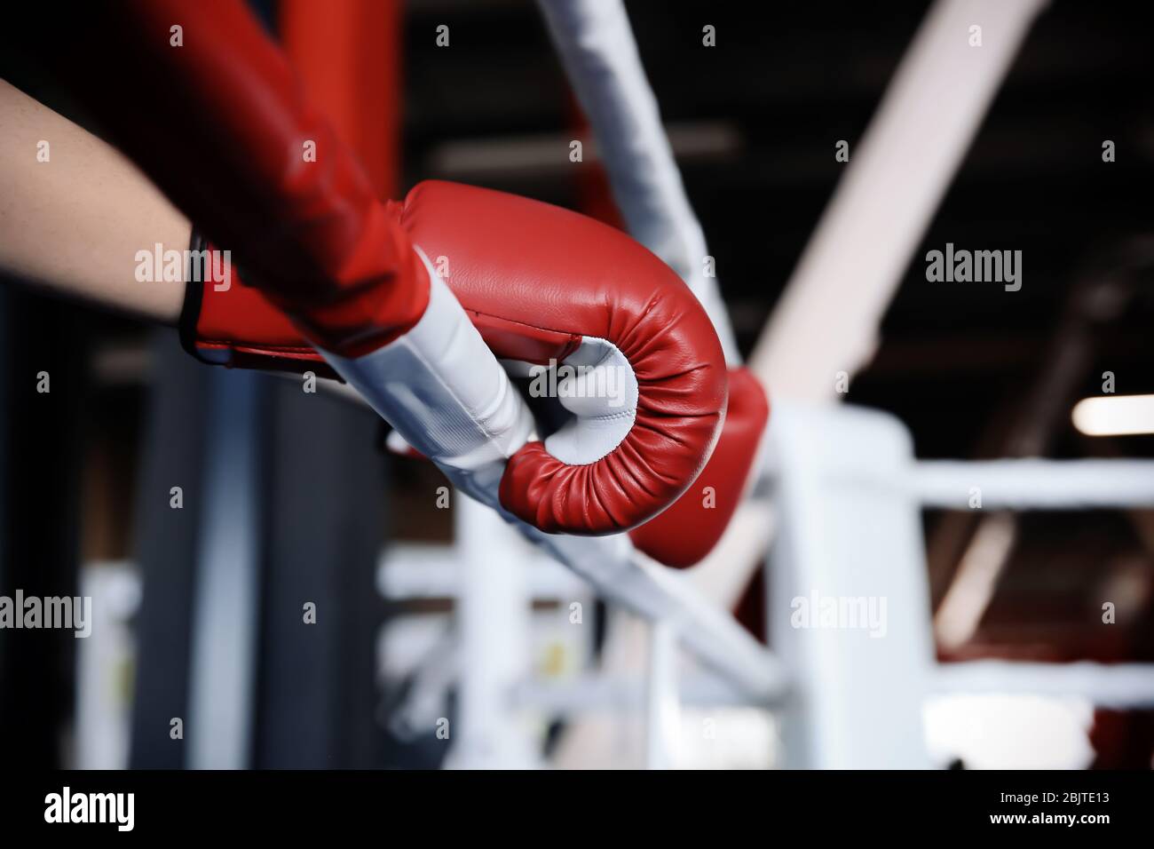 Female boxing match ring hi-res stock photography and images - Alamy